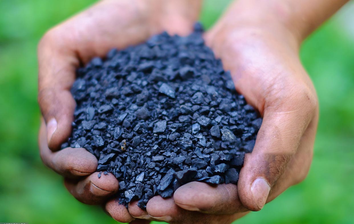 Biochar from eggshells – EGGxellent | Biopharma Bio-Industrial
